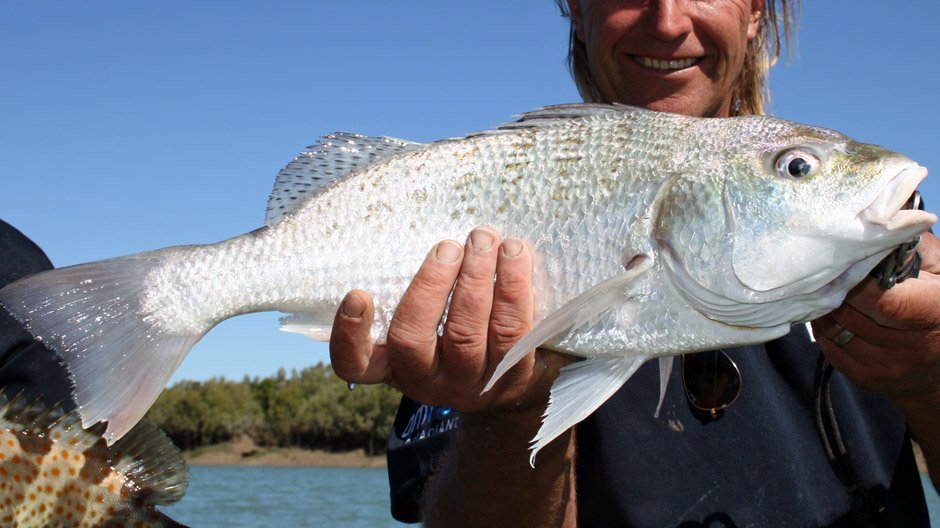 Grunter, Spotted - Fish-On